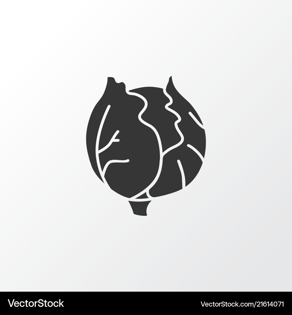 Cauliflower icon symbol premium quality isolated Vector Image