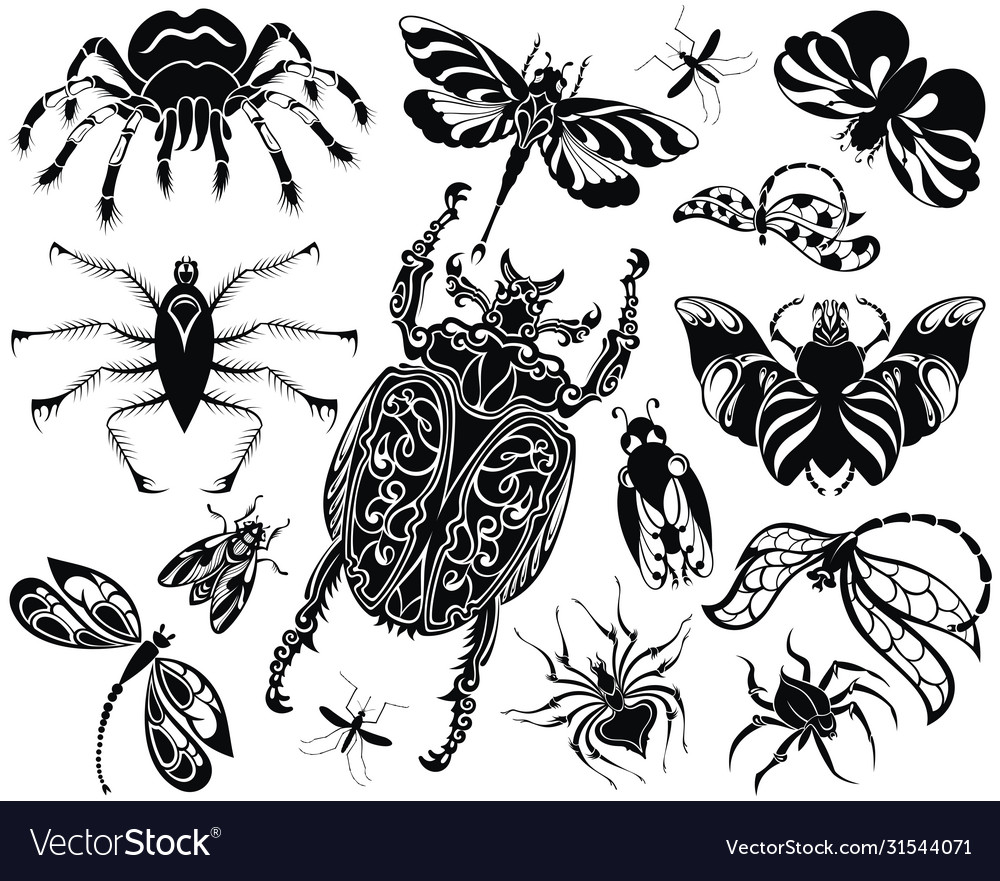 Set insects Royalty Free Vector Image - VectorStock