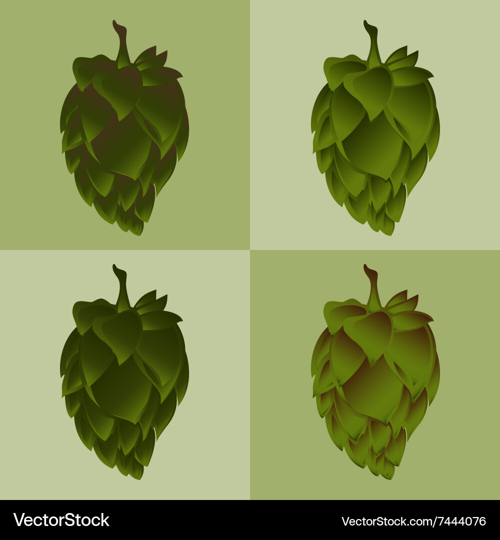 Hop Flower Beer ingredient icon set Royalty Free Vector