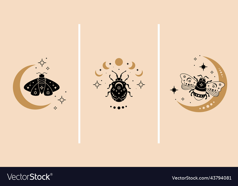 Boho celestial butterfly bee and bug set black Vector Image