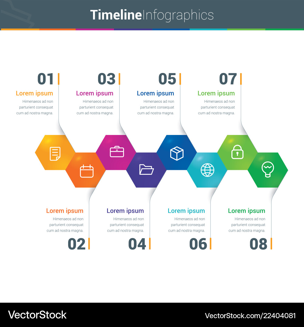 Clean and colourful timeline infographics Vector Image