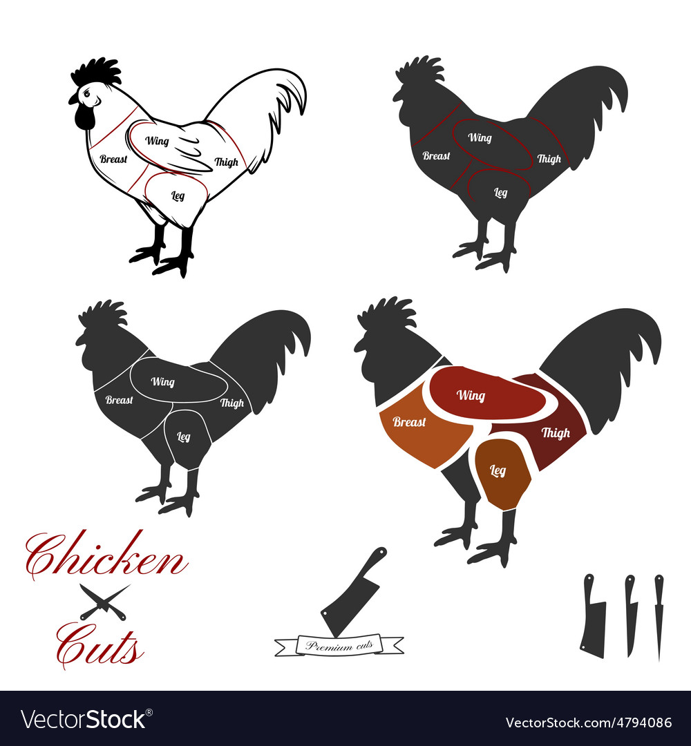 Chicken cuts Royalty Free Vector Image - VectorStock