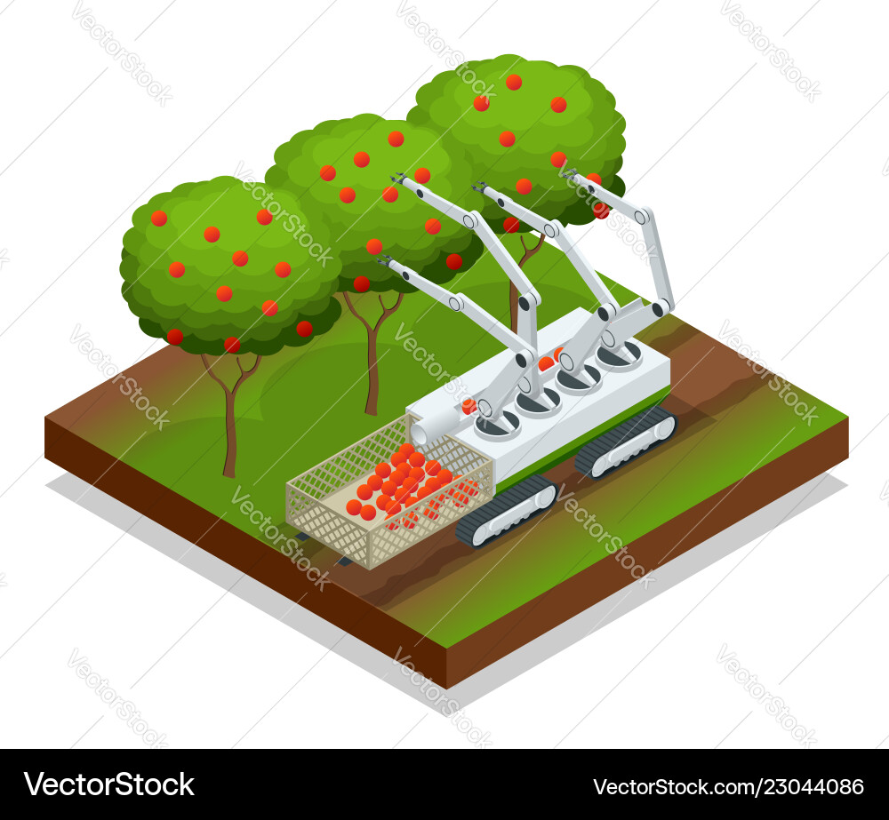 Isometric automatic guided robots harvest fruit Vector Image