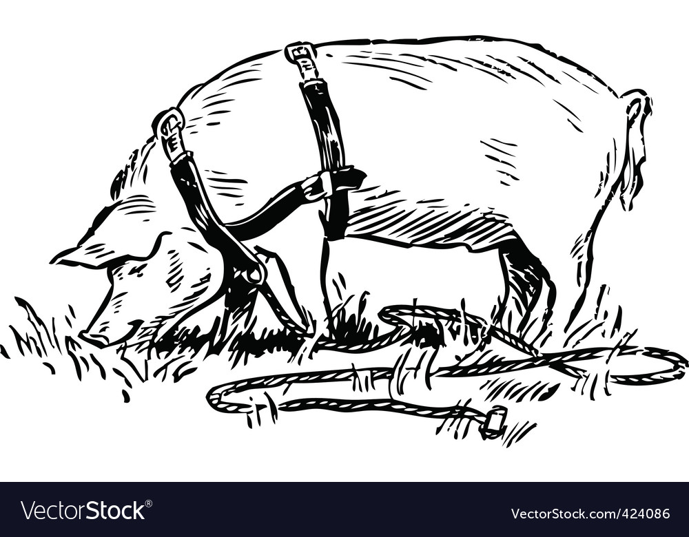 Pig Royalty Free Vector Image - VectorStock