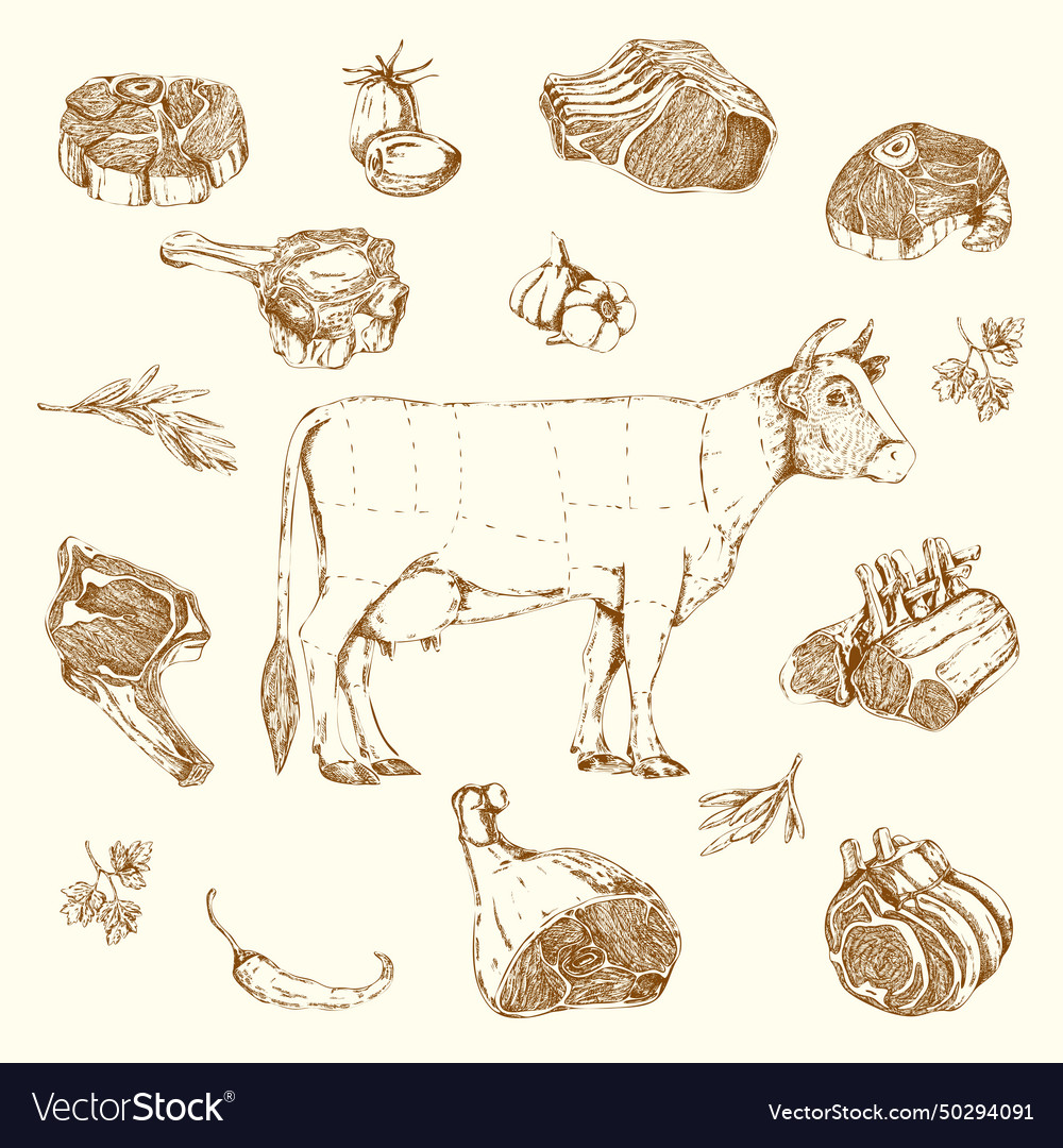 Meat hand drawn elements set Royalty Free Vector Image Meat hand drawn elements set Royalty Free Vector Image