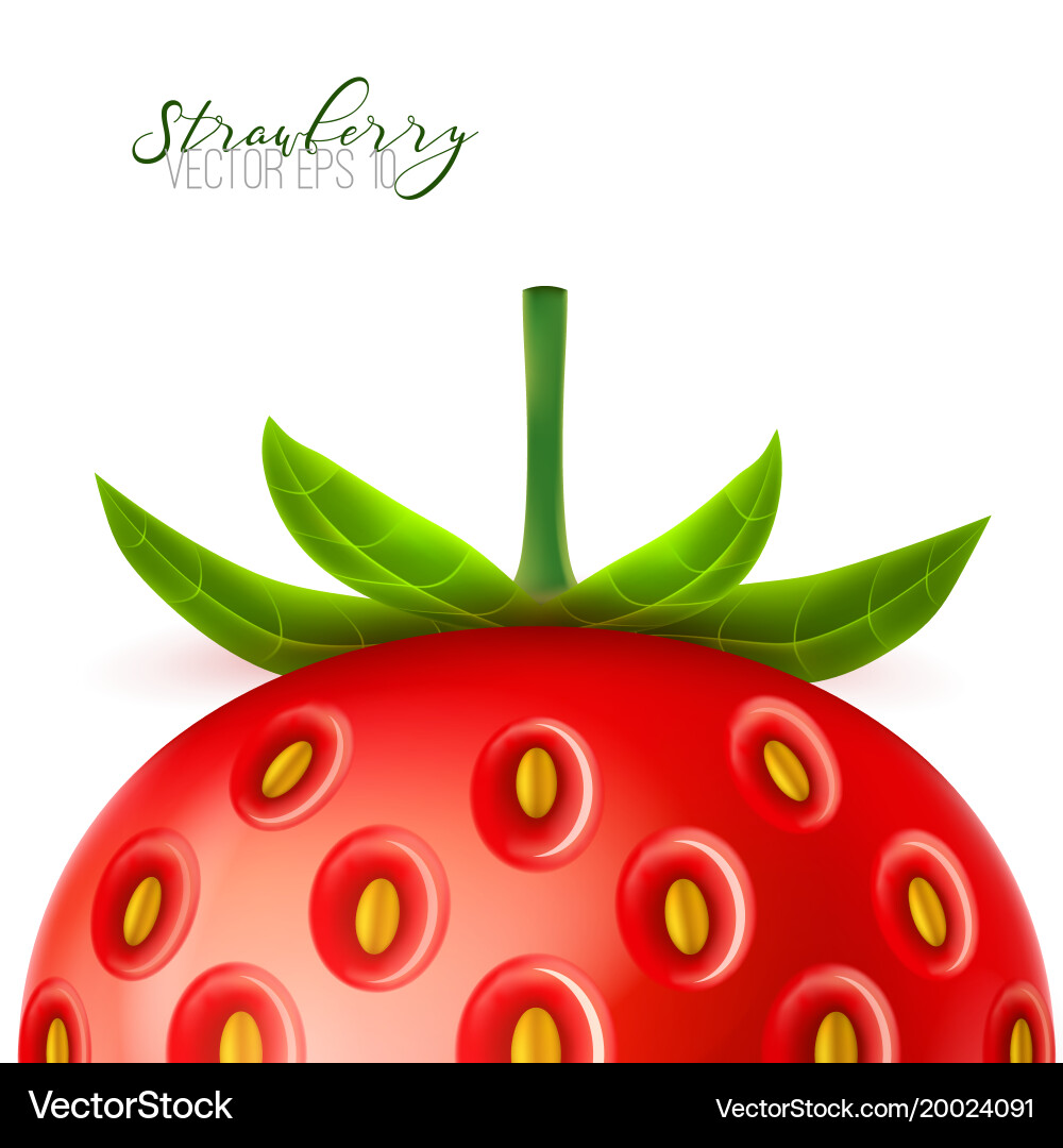 Realistic detailed strawberry closeup Royalty Free Vector