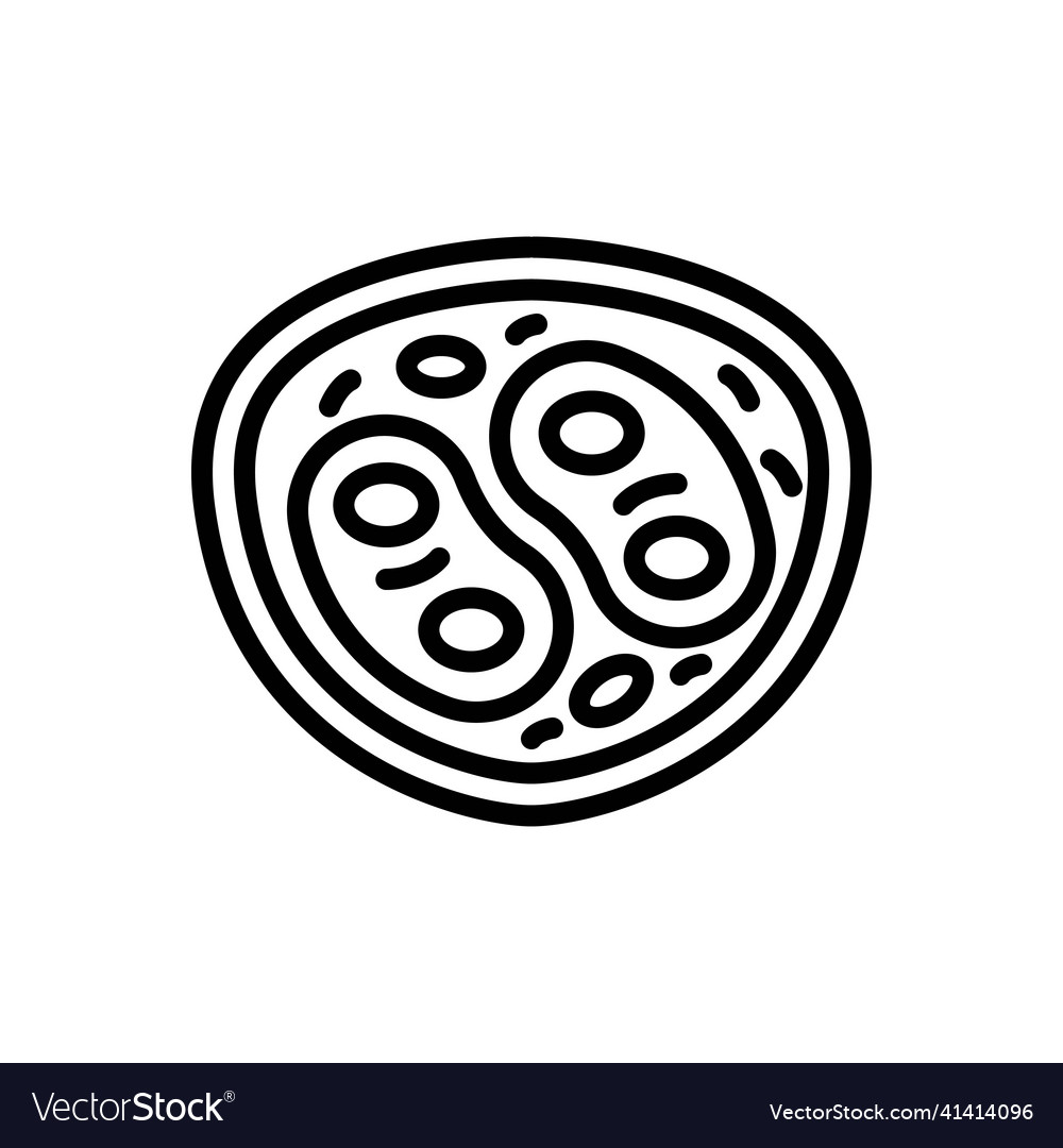 Cells Royalty Free Vector Image - VectorStock
