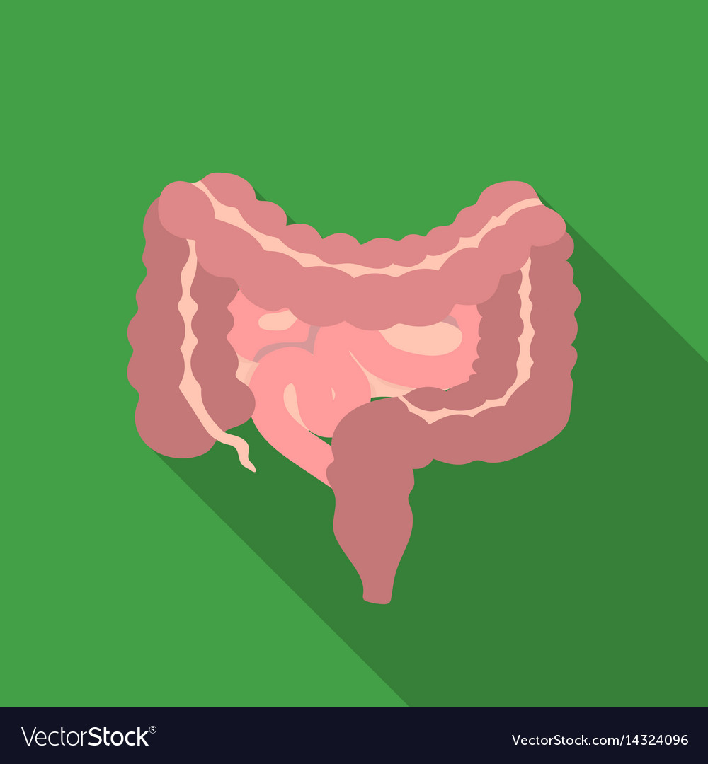 Gastrointestinal tract icon in flat style isolated Gastrointestinal tract icon in flat style isolated