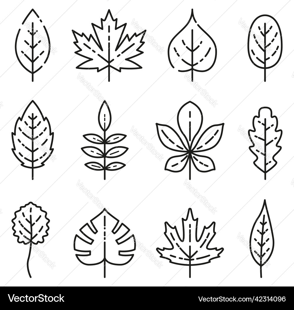 Leaves line art isolated icons Royalty Free Vector Image