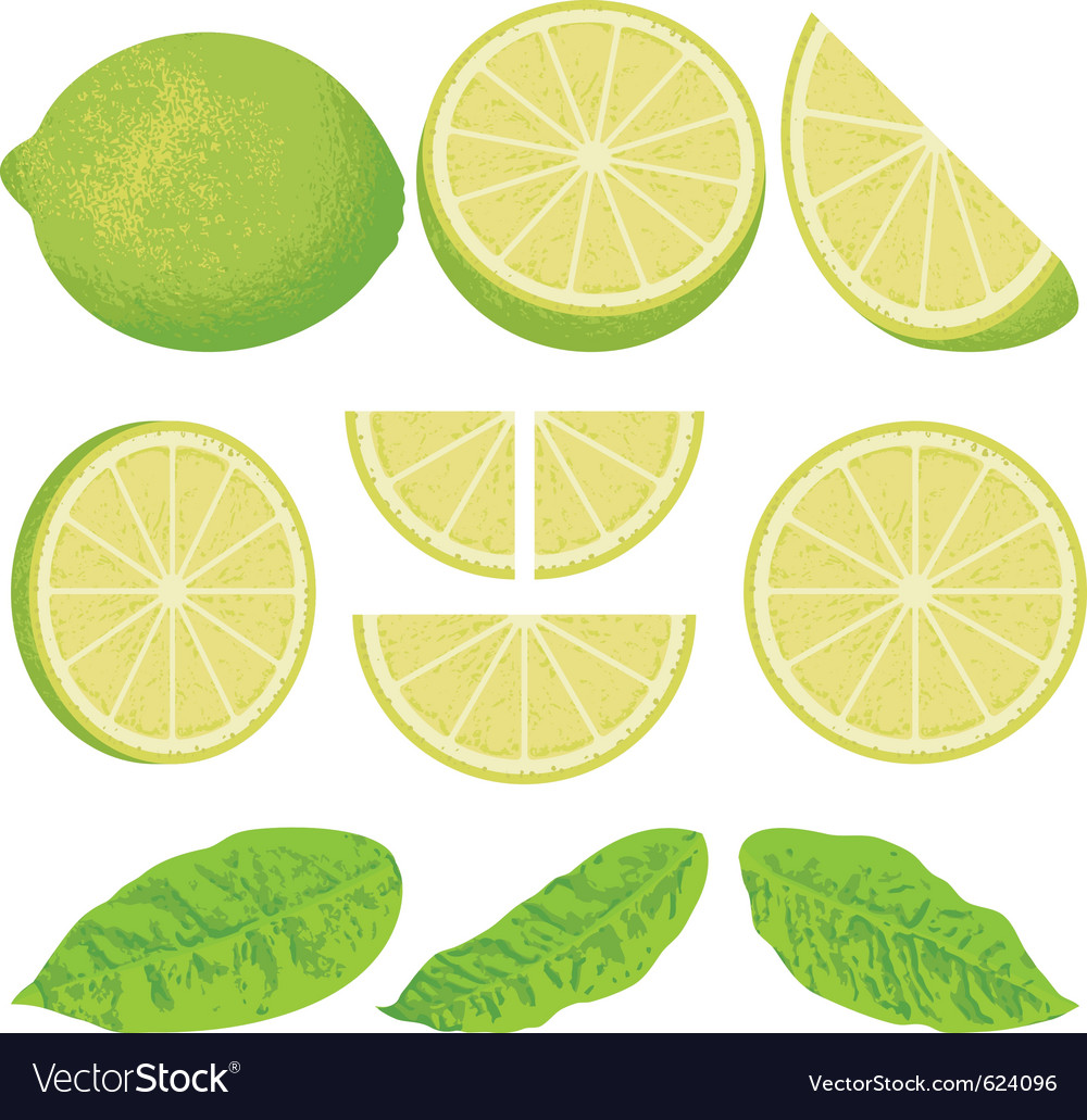 Lime Royalty Free Vector Image - VectorStock