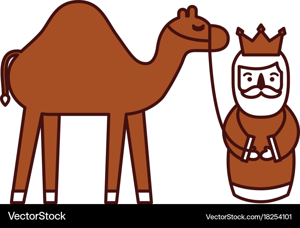 Cartoon wise king with camel manger traditional Vector Image