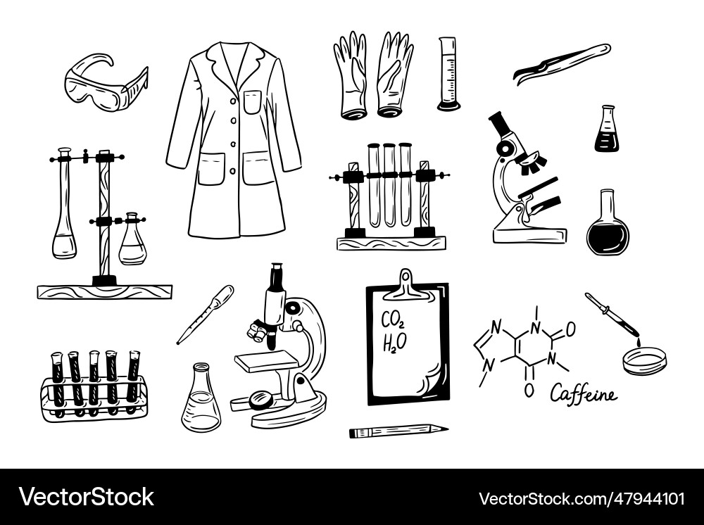 Collection of hand drawn doodle science items Vector Image
