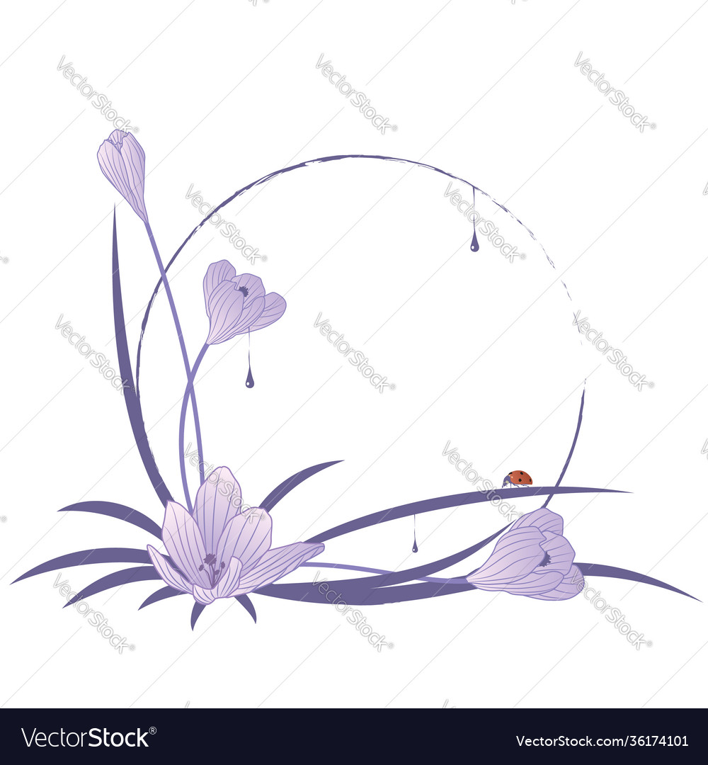Crocuses frame Royalty Free Vector Image - VectorStock