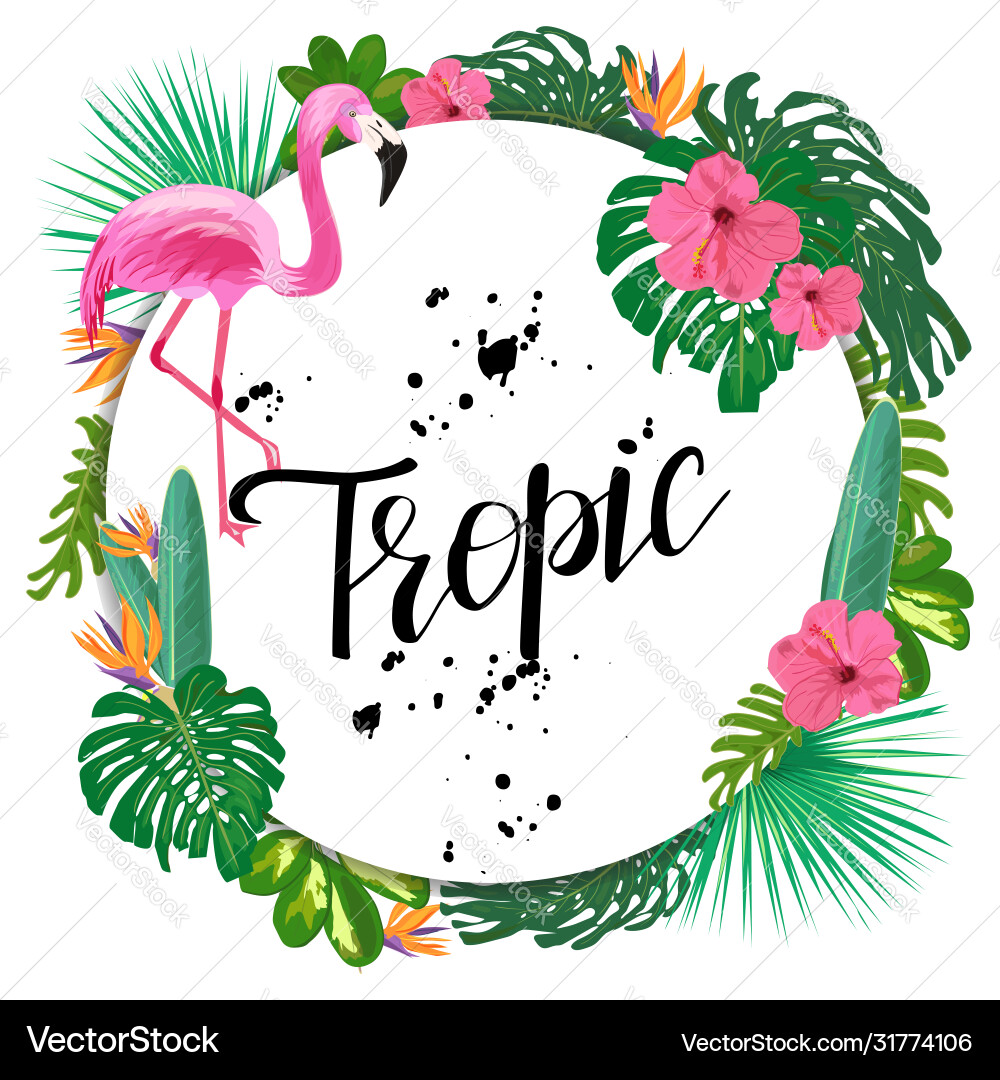 Bright template with tropical plants flowers and Vector Image