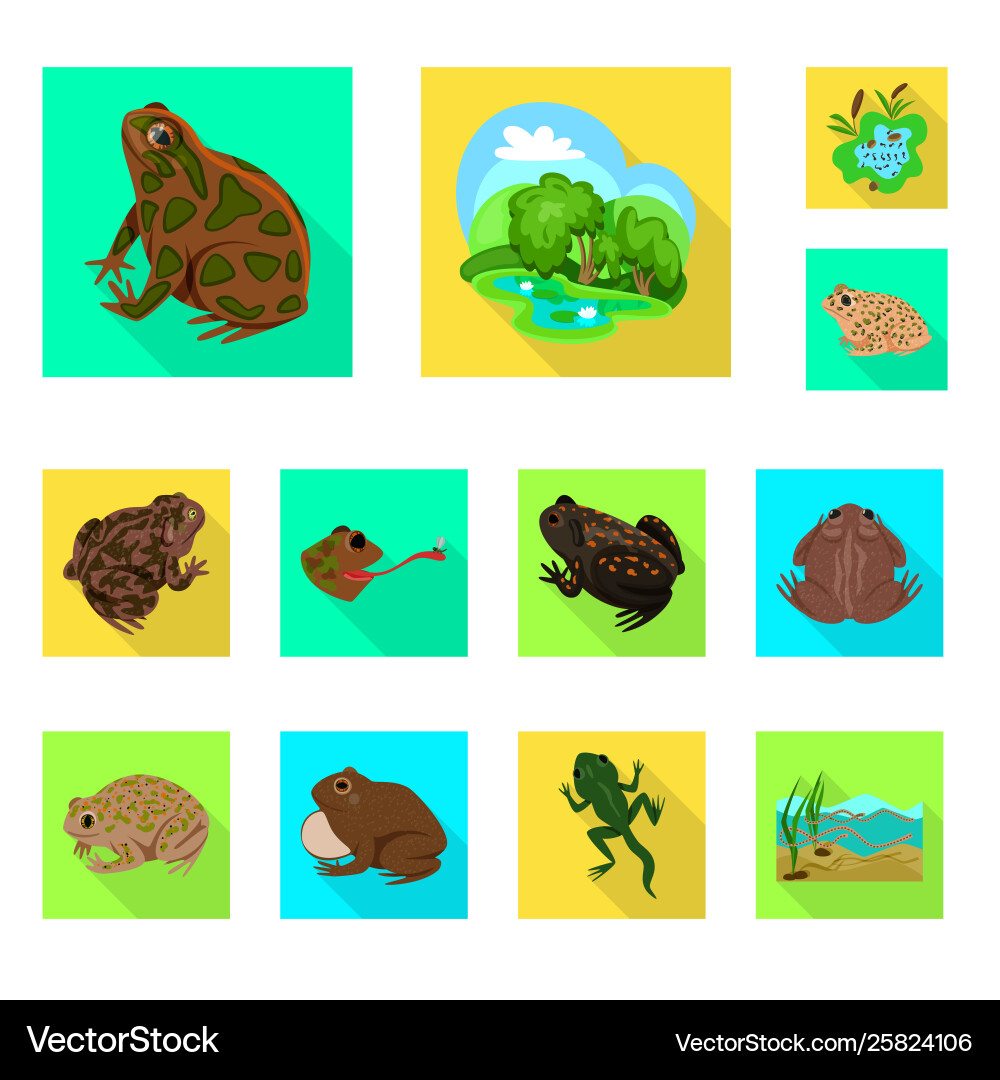 Design wildlife and bog logo set Royalty Free Vector Image