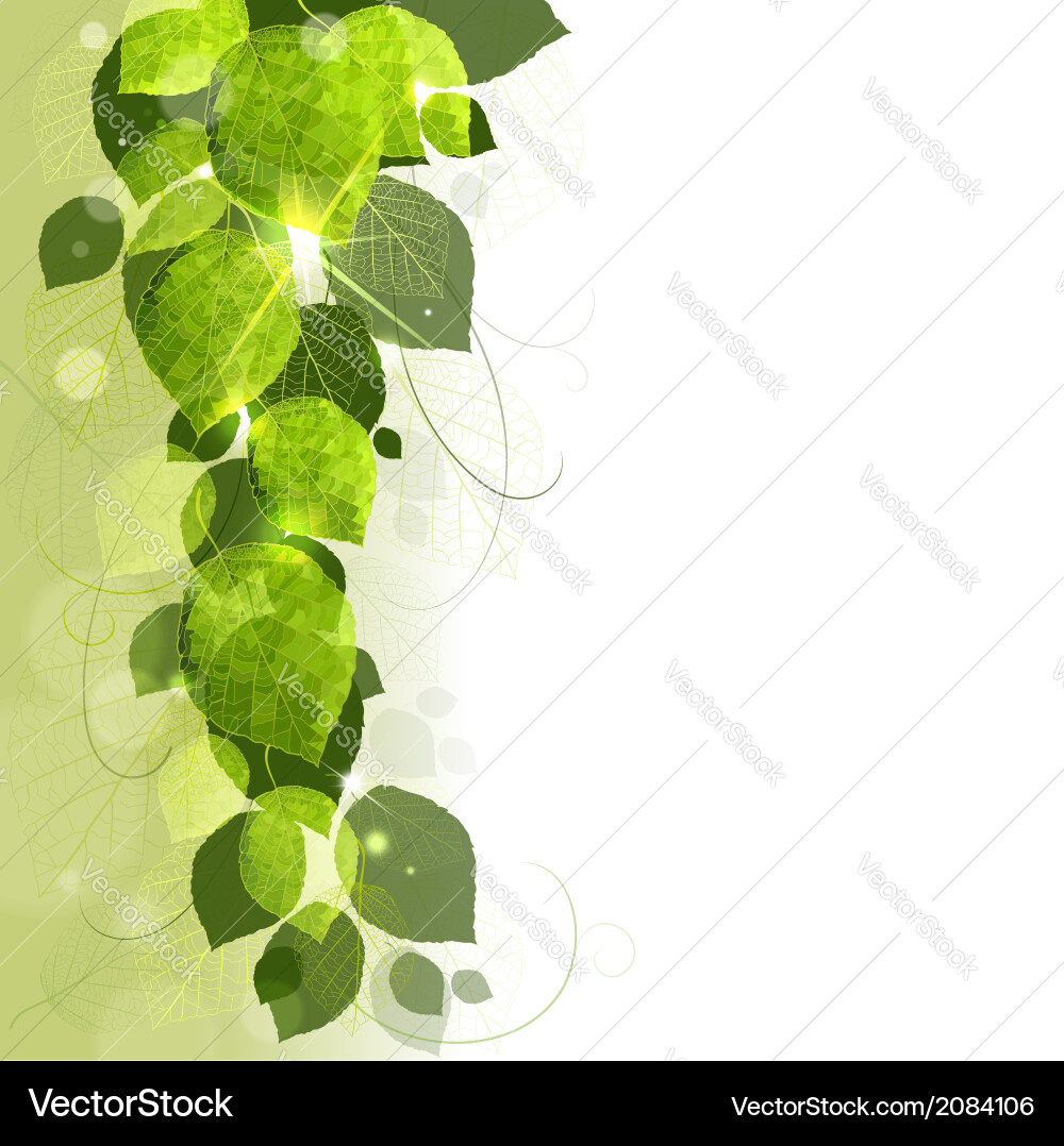 Floral background of leaves Royalty Free Vector Image
