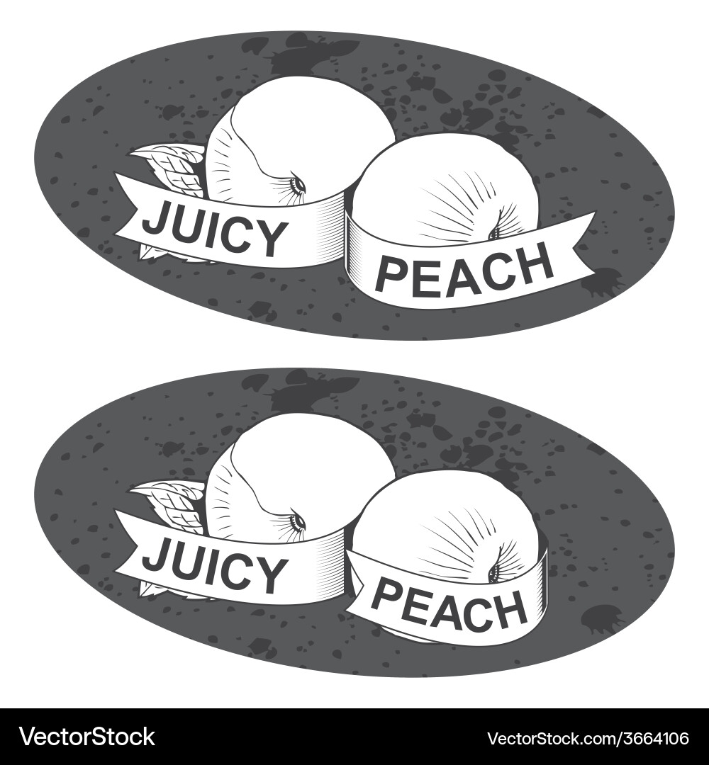 Logo with the image of a peach Royalty Free Vector Image