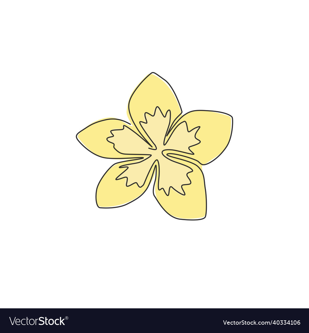 Single Continuous Line Drawing Of Beauty Fresh Vector Image