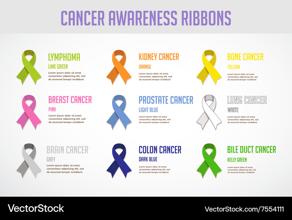 Colorful awareness ribbons isolated over white Vector Image