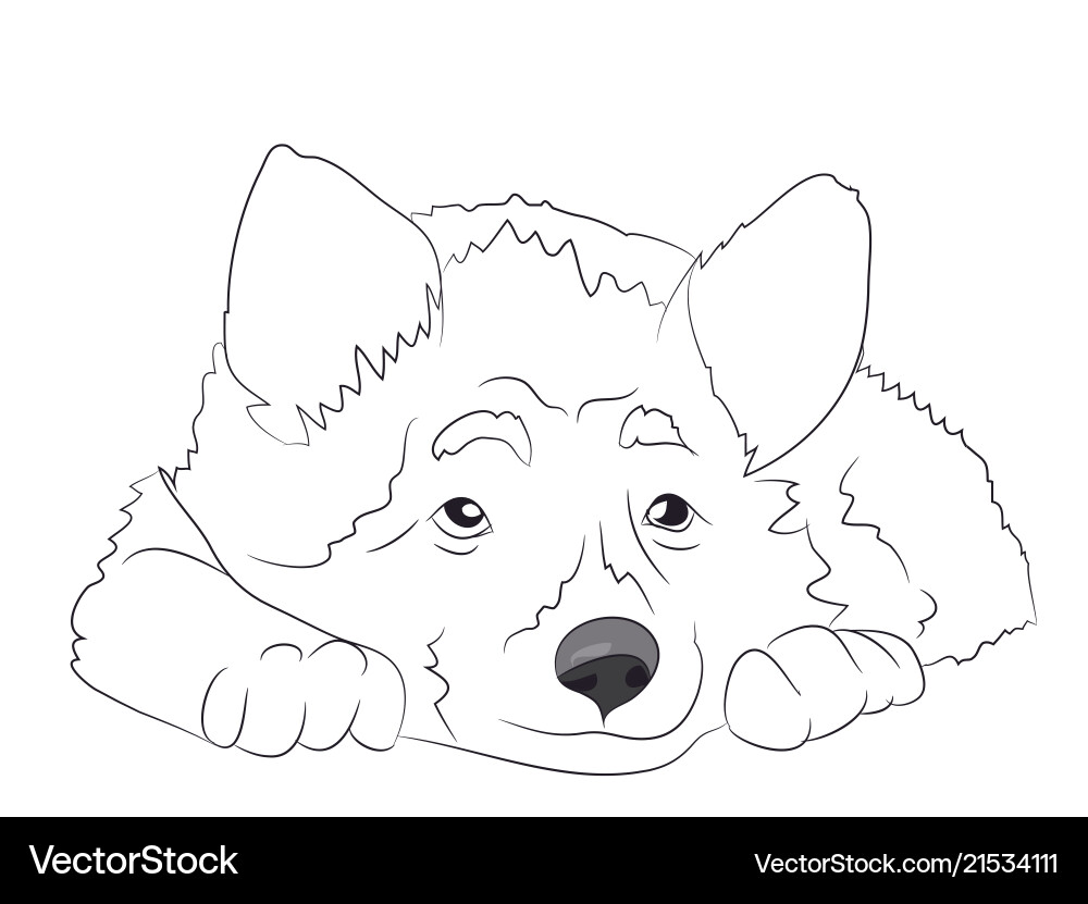 Dog portrait lines Royalty Free Vector Image - VectorStock