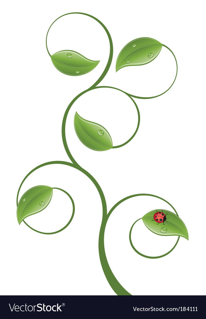 Leaf Royalty Free Vector Image - VectorStock