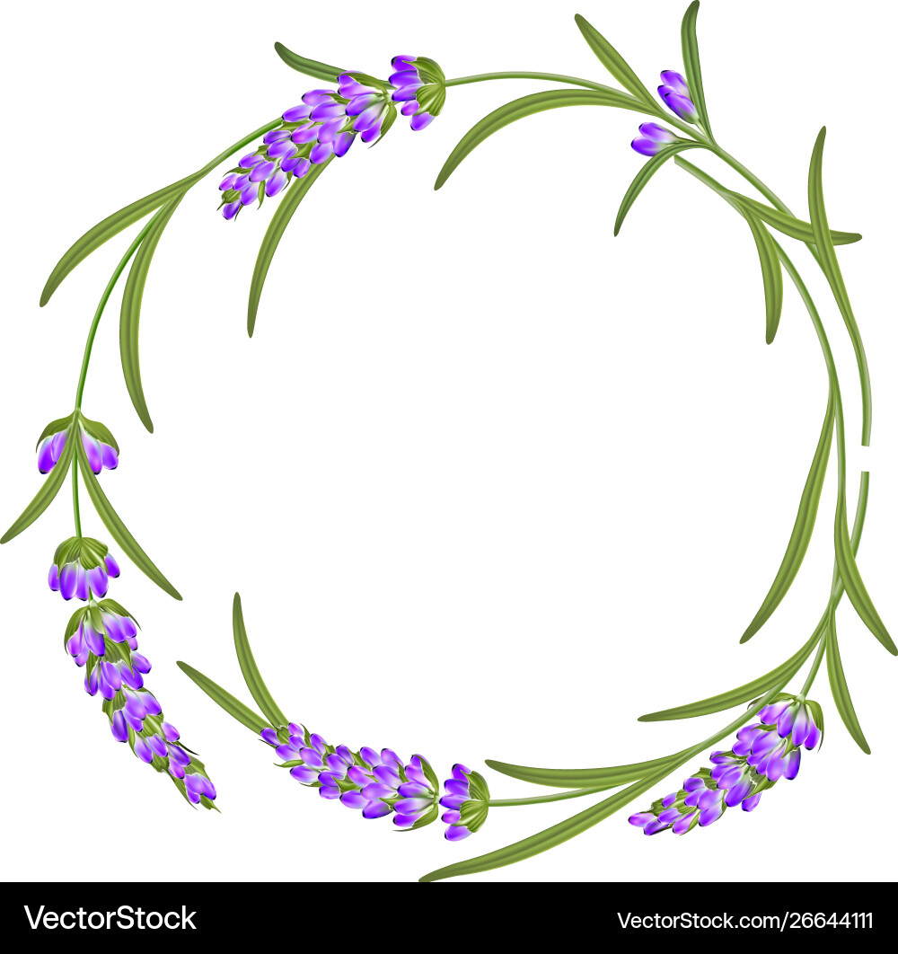 The lavender elegant frame with bouquet flowers Vector Image