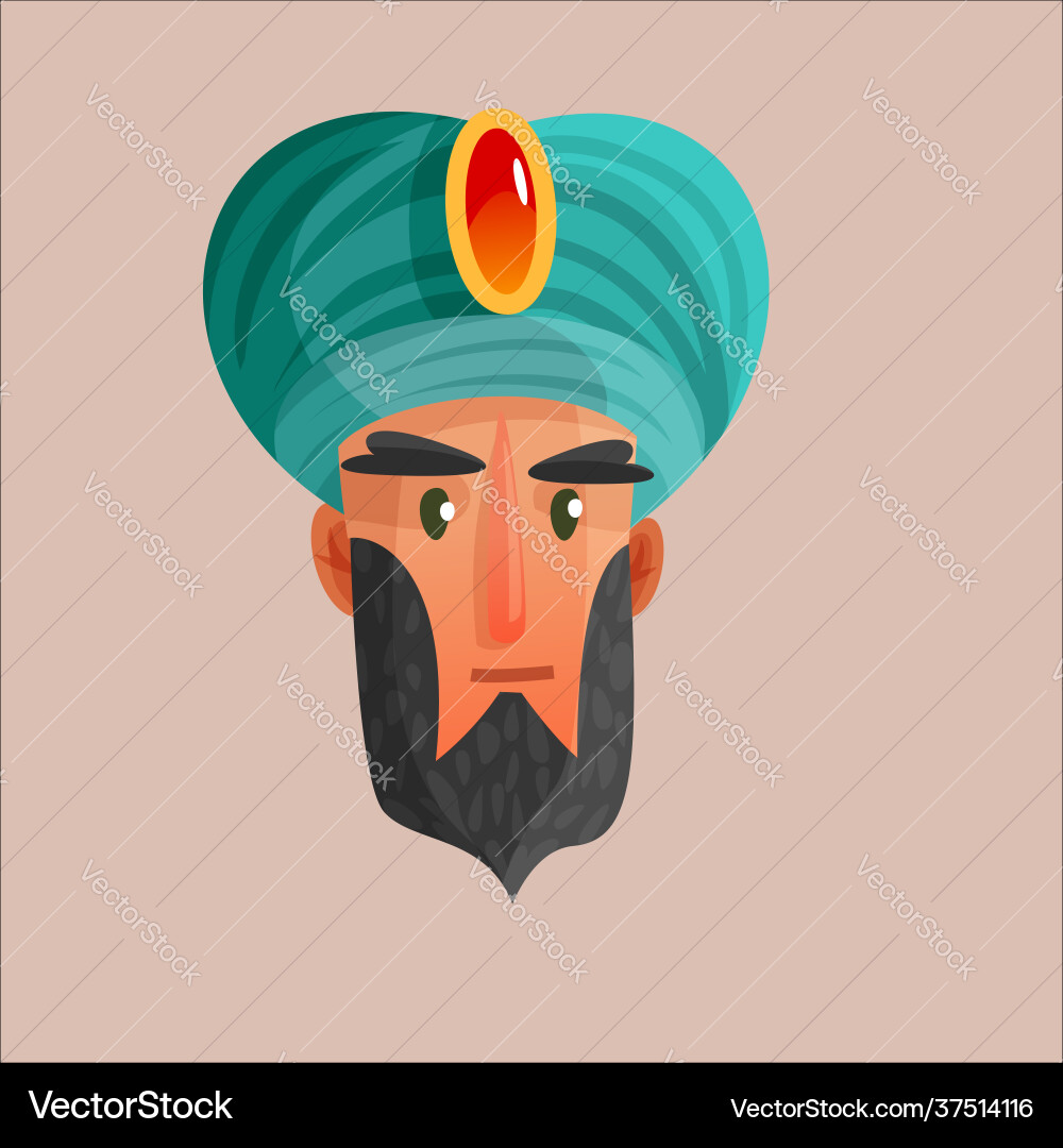 Royal character cartoon Royalty Free Vector Image