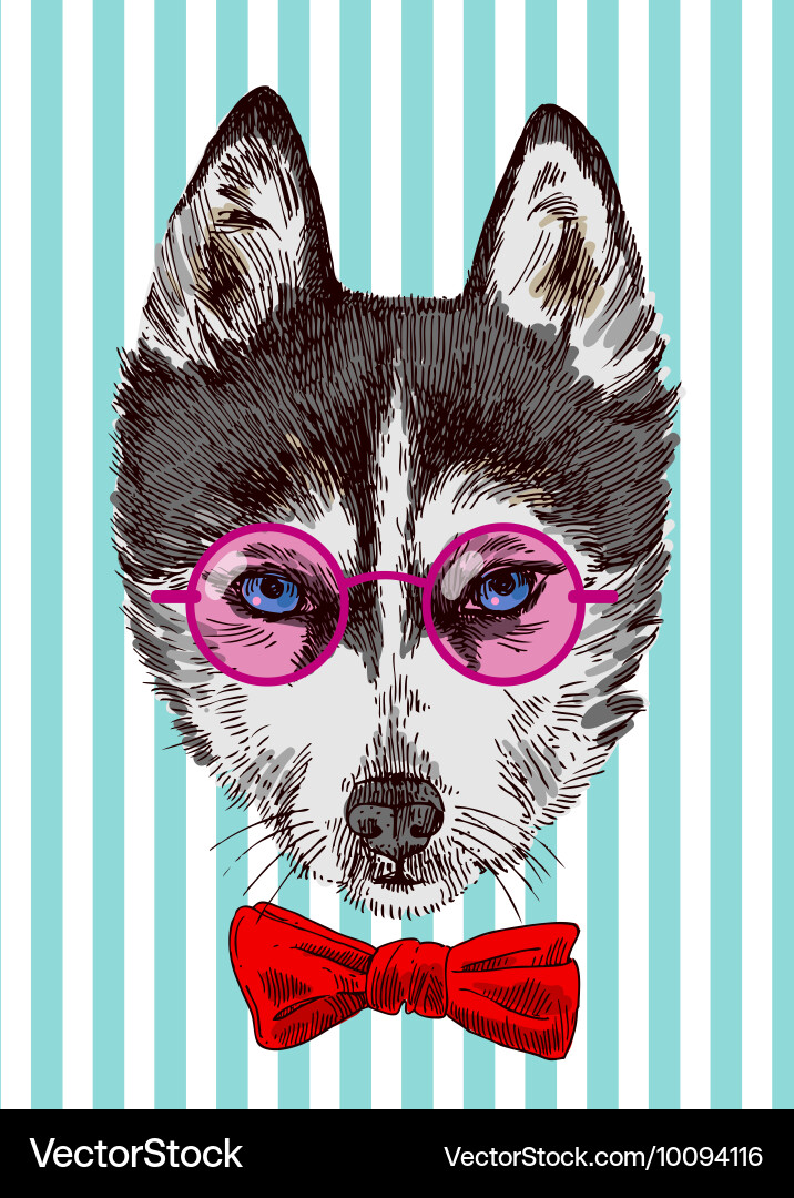 Sketch of husky Royalty Free Vector Image - VectorStock