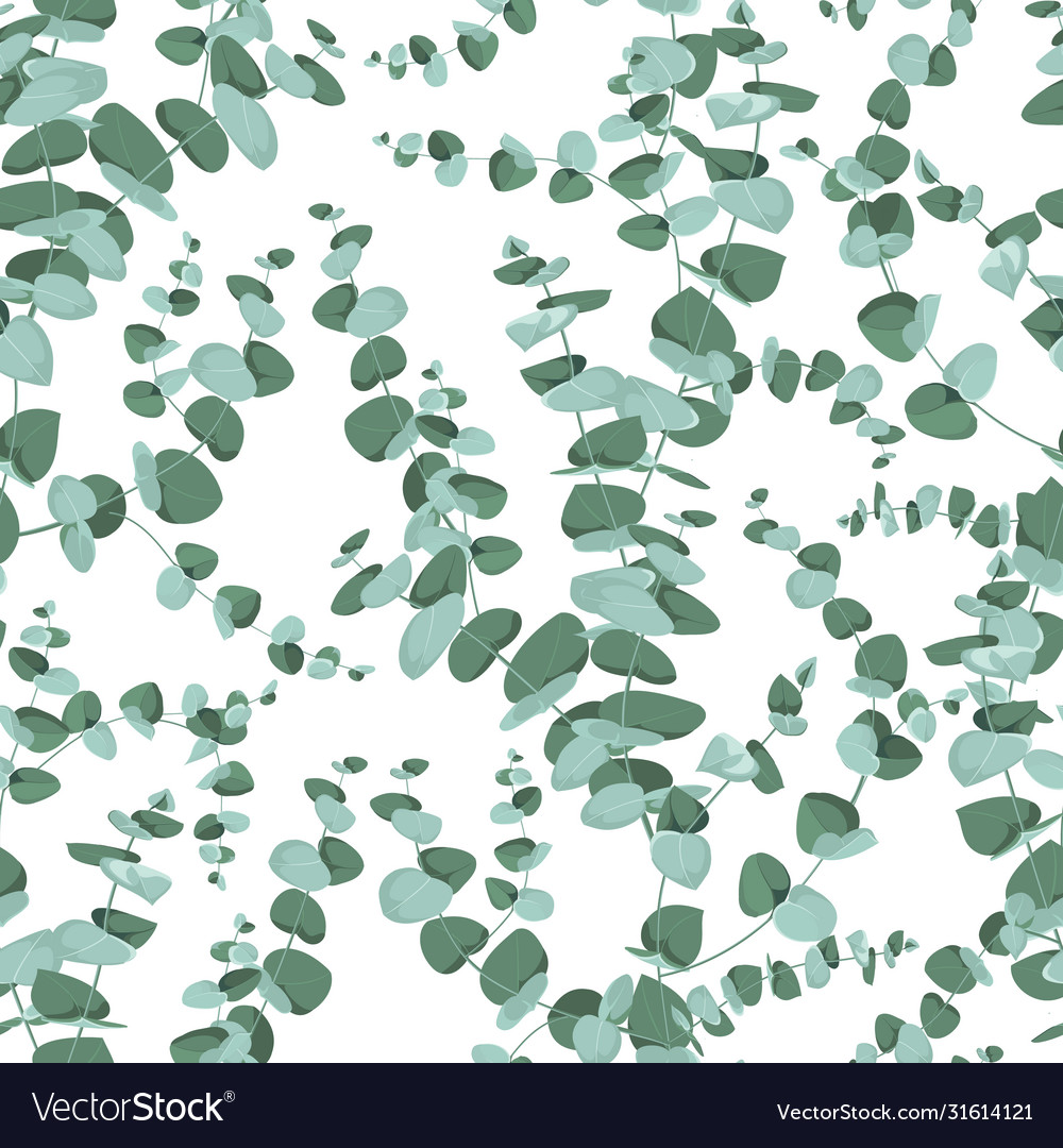 Eucalyptus seamless pattern in rustic style on Vector Image