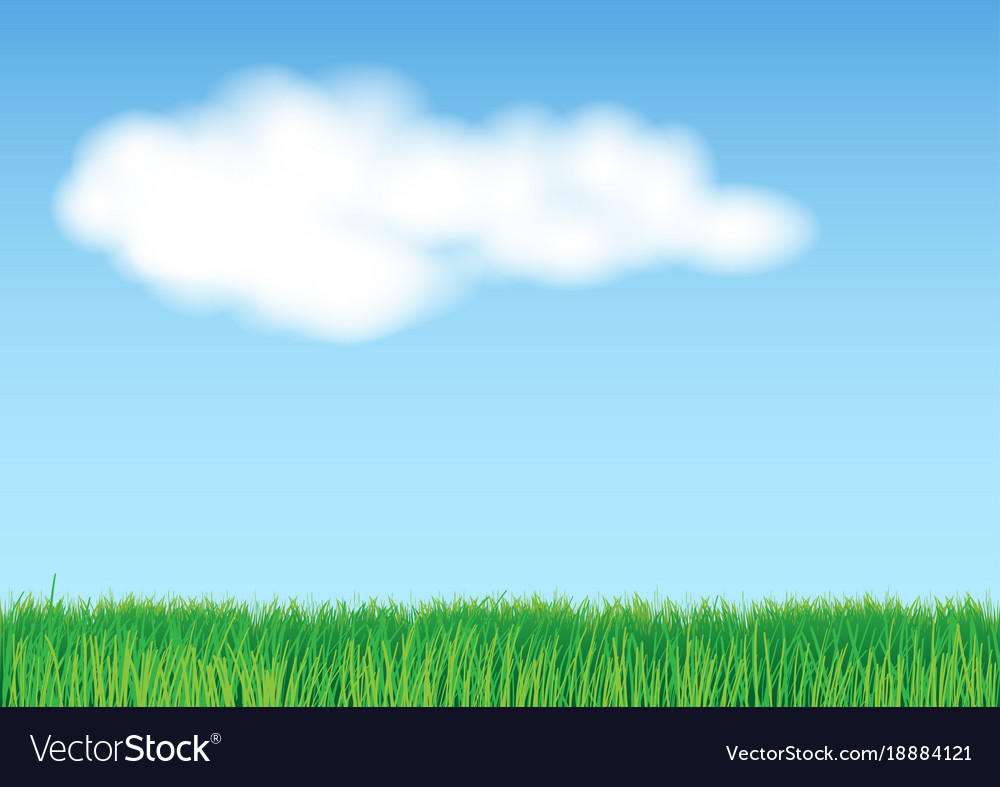 Grass on light blue background Royalty Free Vector Image