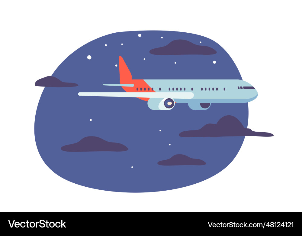 Majestic airplane glides through the dark night Vector Image