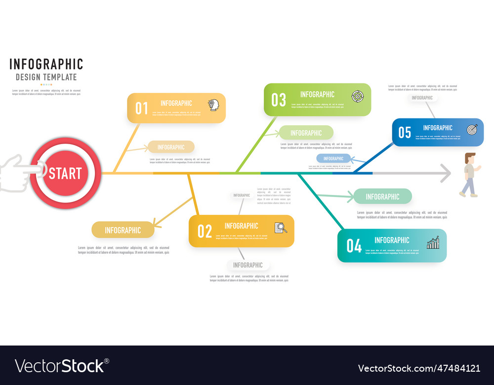 Mind map fishbone or tree diagram infographic Vector Image