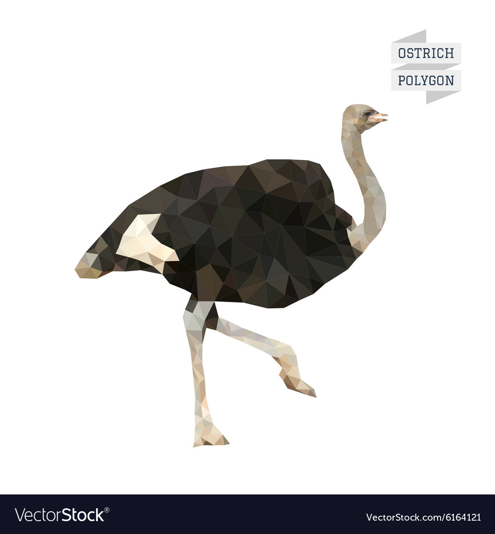 Ostrich polygon Royalty Free Vector Image - VectorStock