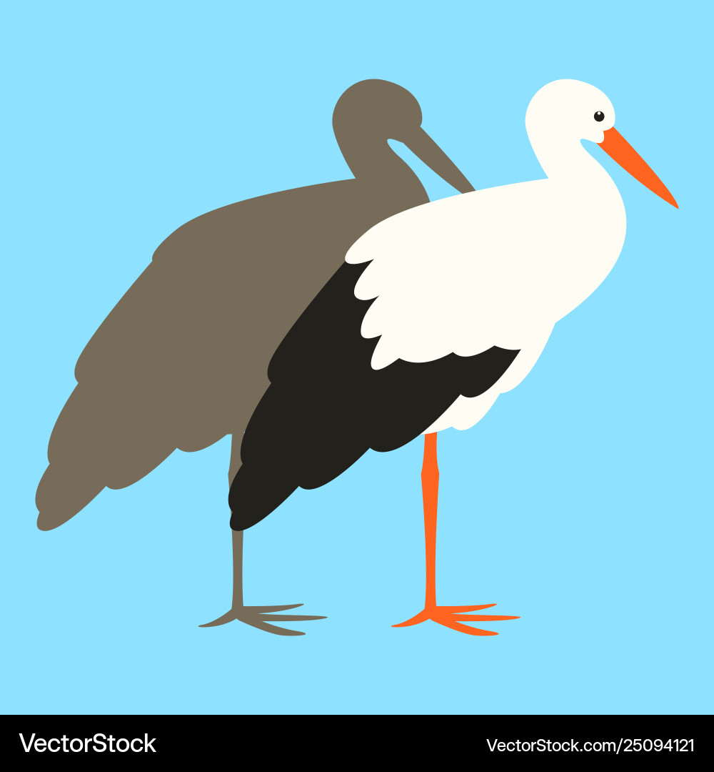 Stork profile view Royalty Free Vector Image - VectorStock