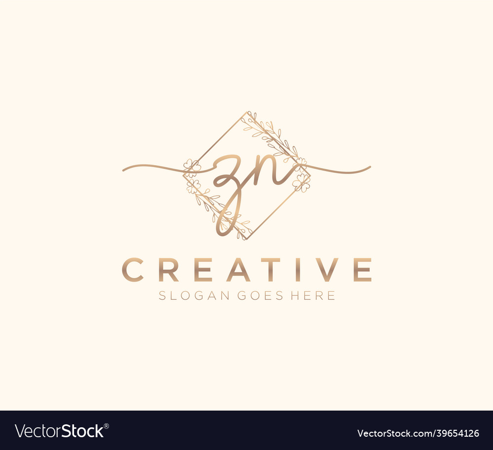 Initial zn feminine logo beauty monogram Vector Image