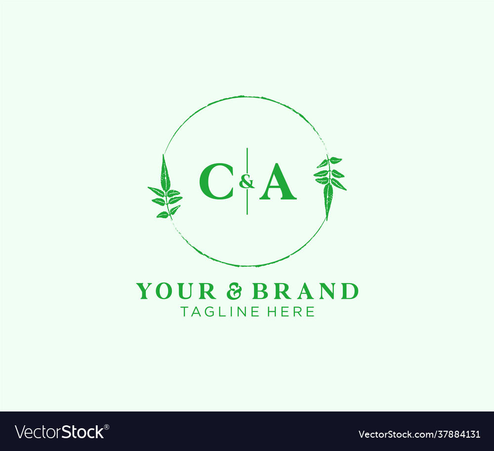 Initial ca letters floral frames botanical Vector Image Initial ca letters floral frames botanical Vector Image