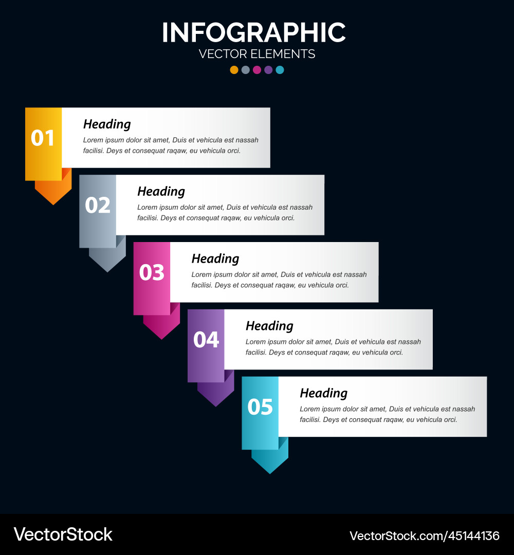 5 option infographics diagram annual report web Vector Image