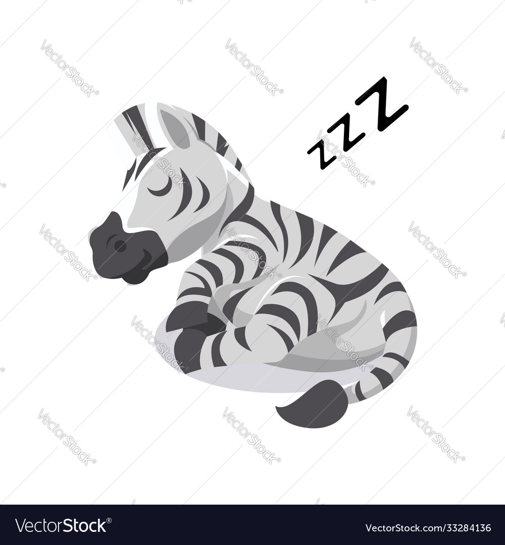 Cute zebra Royalty Free Vector Image - VectorStock
