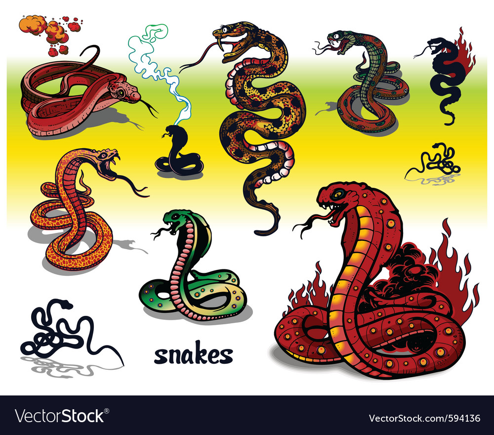 Snakes Royalty Free Vector Image - VectorStock