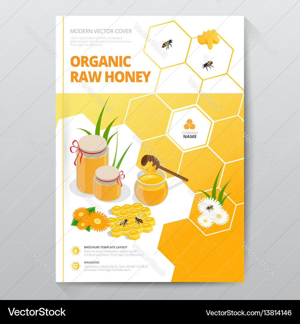 Organic raw honey design brochure abstract Vector Image