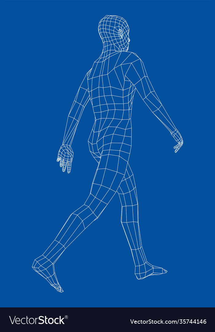 Wireframe walking man Royalty Free Vector Image