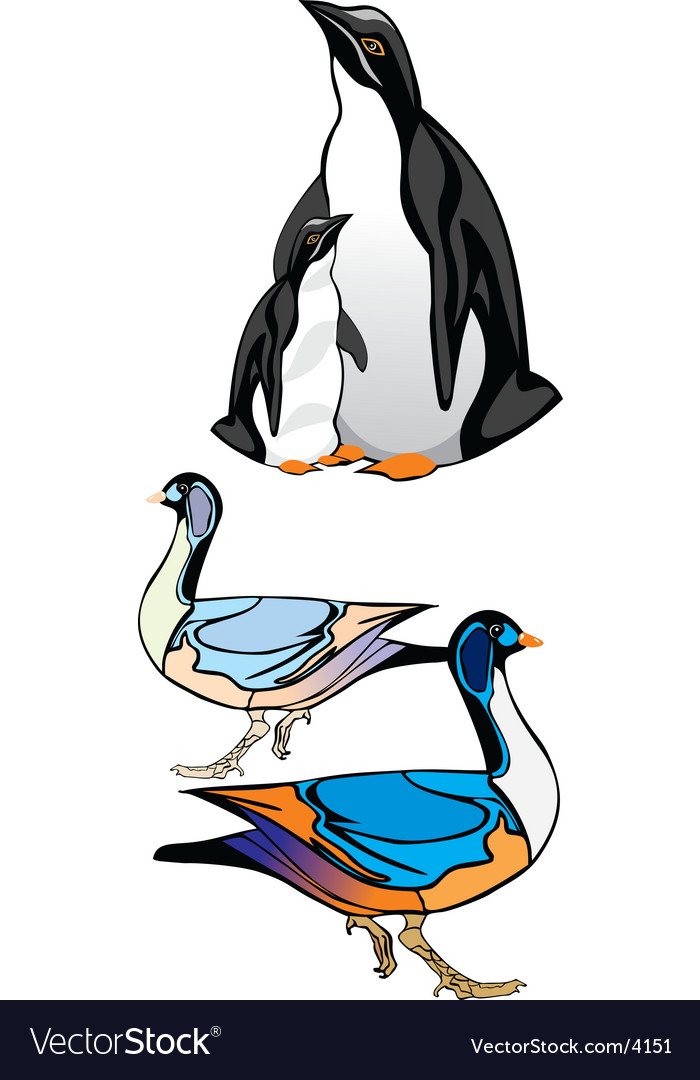 Animals Royalty Free Vector Image - VectorStock