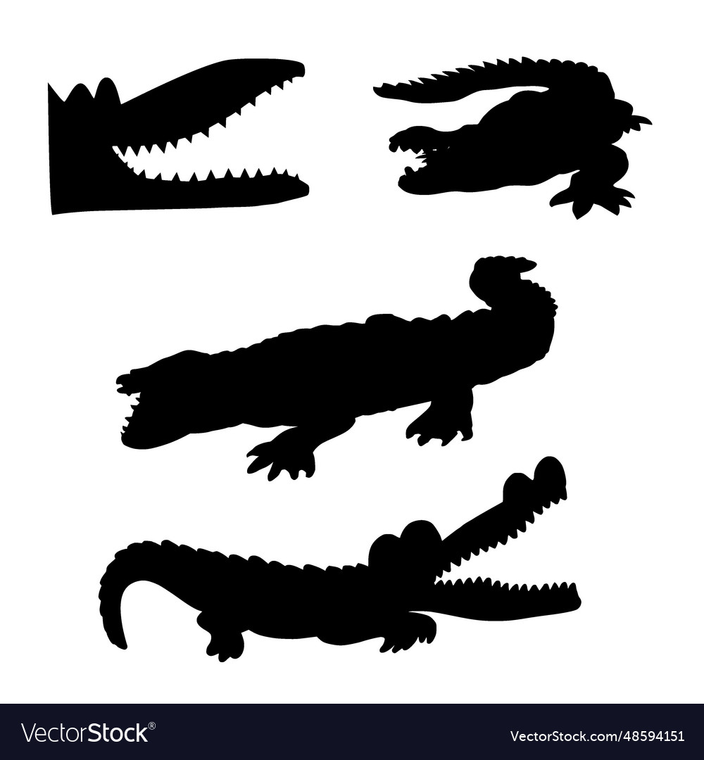 Crocodile Royalty Free Vector Image - VectorStock Crocodile Royalty Free Vector Image - VectorStock