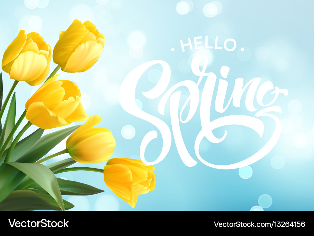 Hello spring hand lettering with tulip flower Vector Image