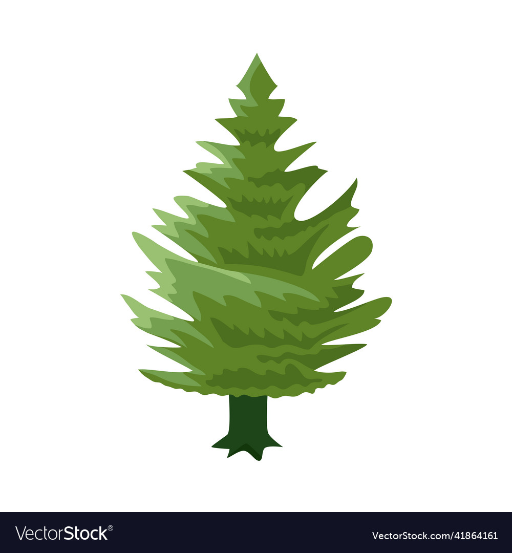 Pine tree painted Royalty Free Vector Image - VectorStock