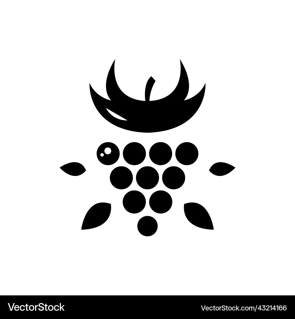 Fresh blackberry fruit black icon eps 10 berry Vector Image