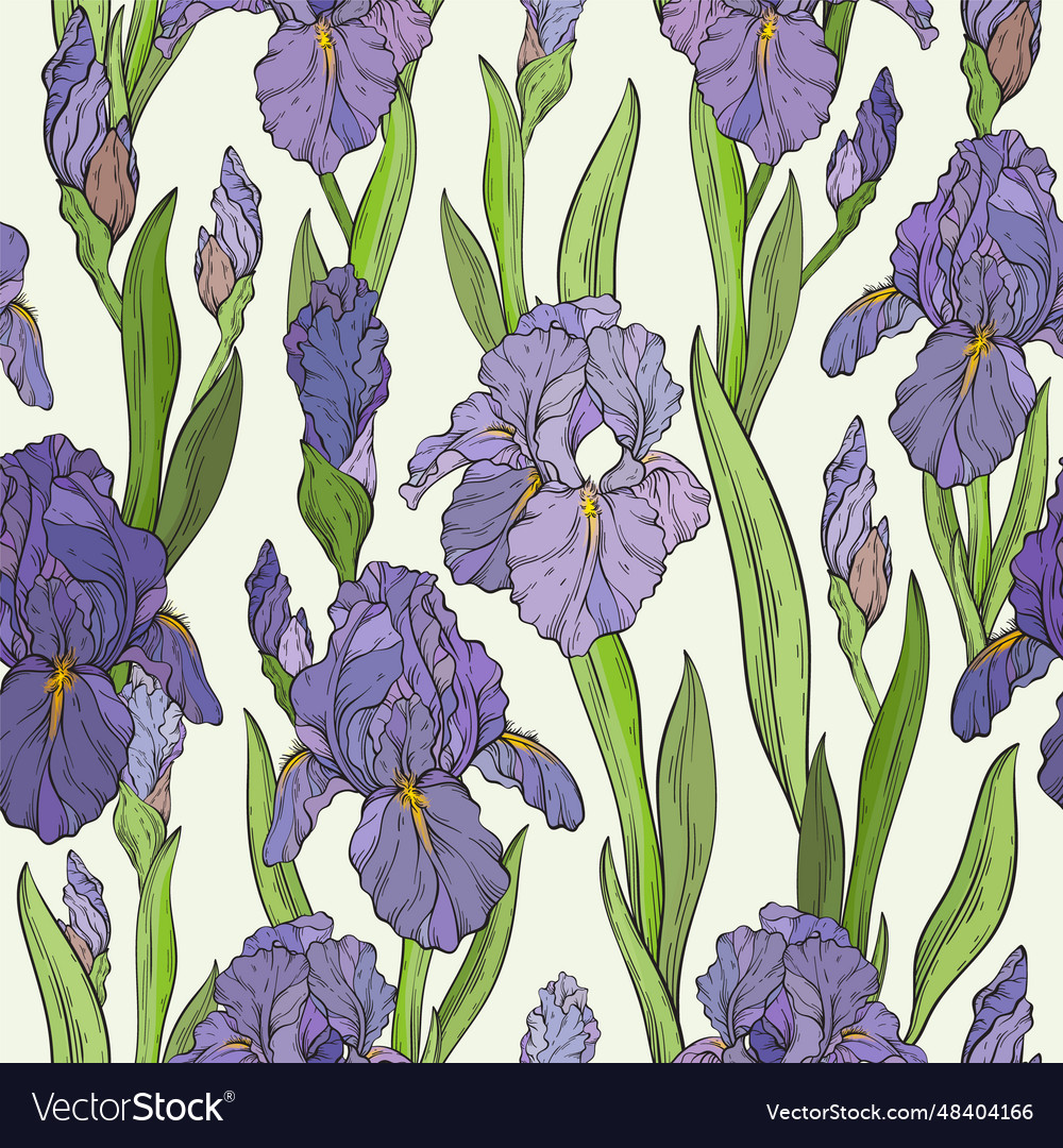 Seamless pattern with iris flowers Royalty Free Vector Image