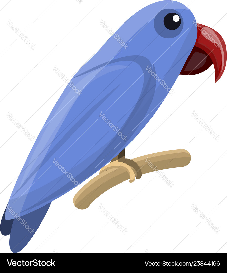 Solomon parrot icon cartoon style Royalty Free Vector Image