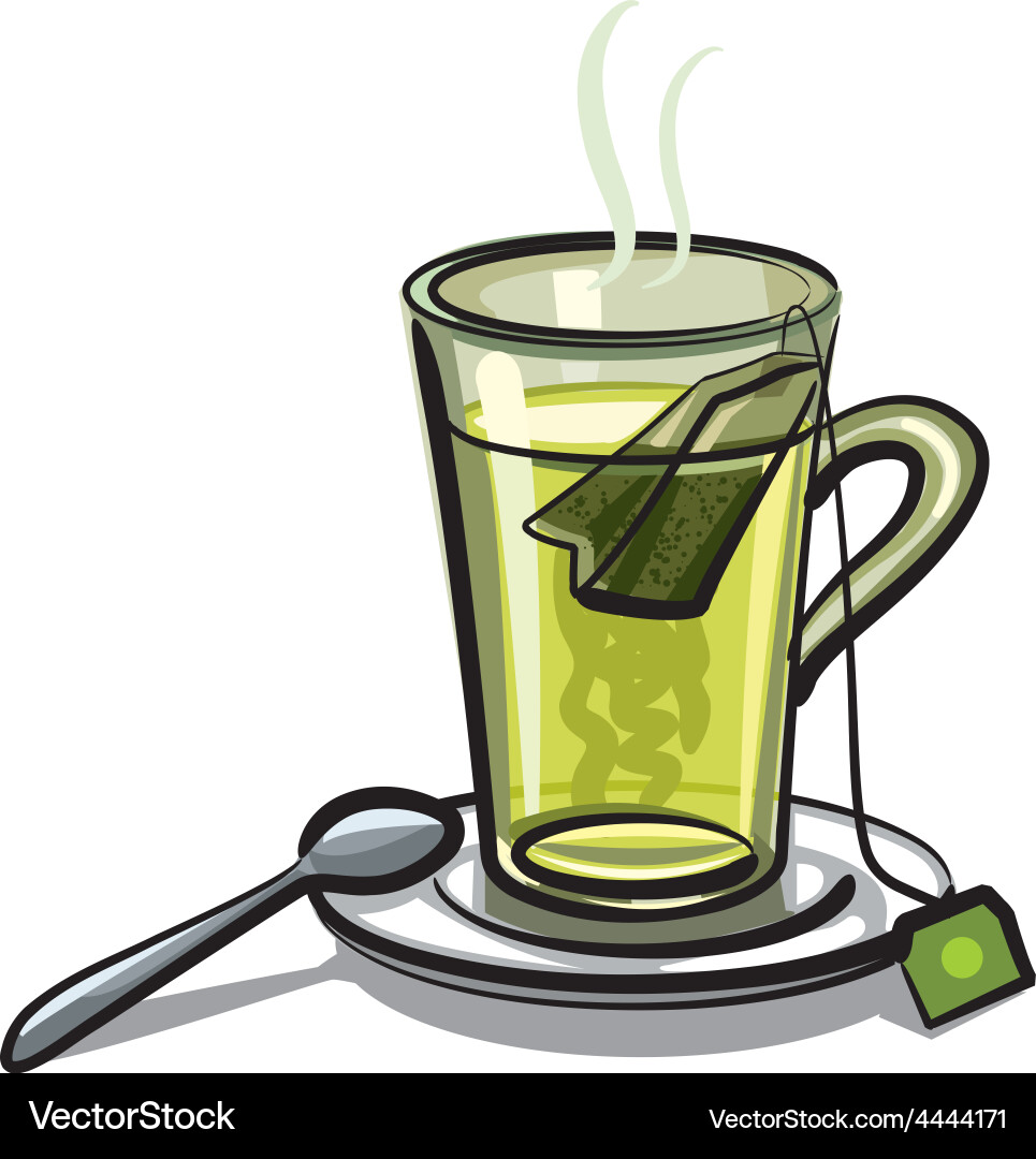 Glass of green tea Royalty Free Vector Image - VectorStock
