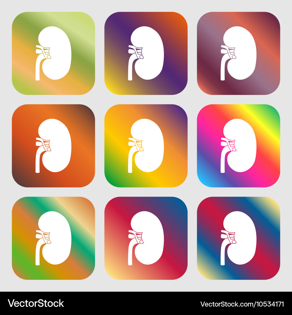 Kidney sign icon nine buttons with bright Vector Image